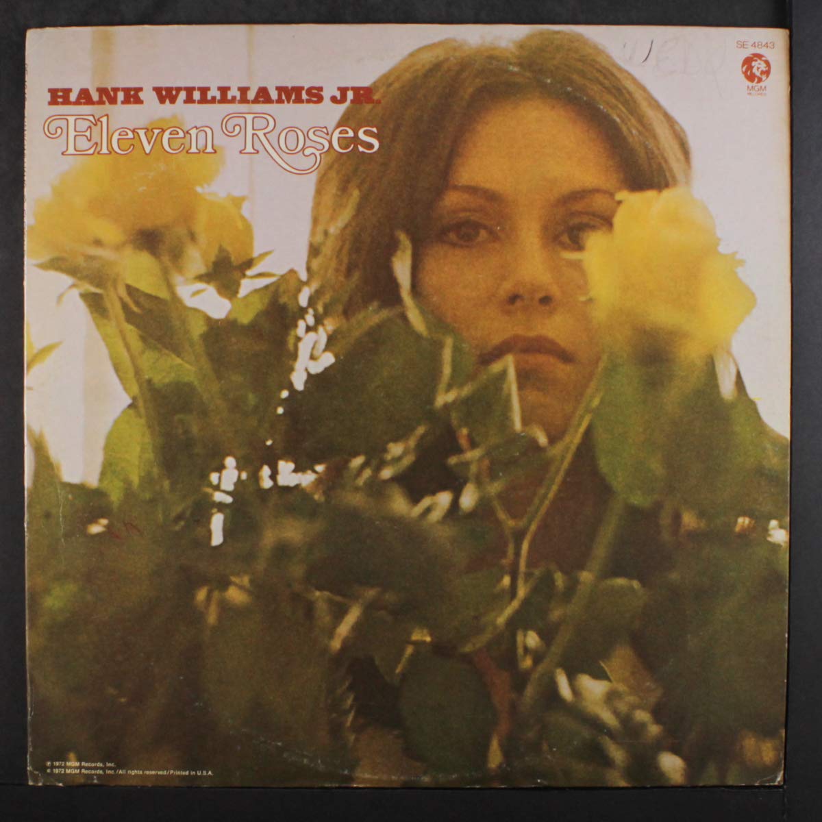 Amazon.com: eleven roses: CDs & Vinyl