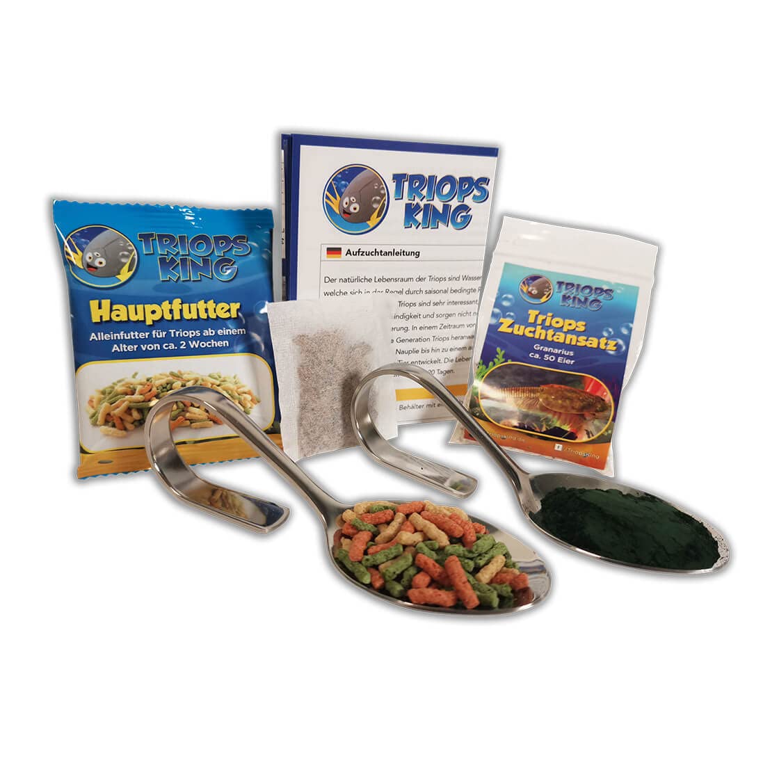 Buy Triops Granarius prehistoric shrimp starter set plus with approx ...