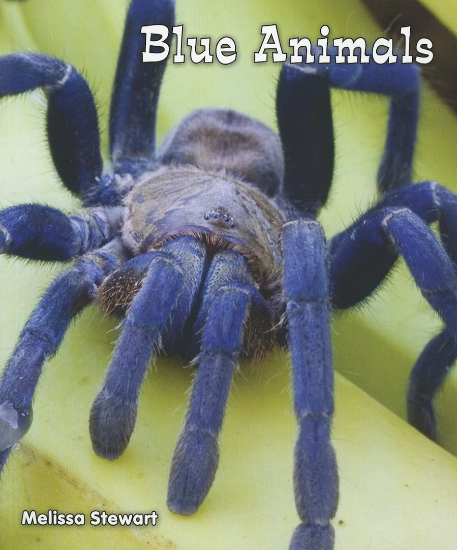 Blue Animals (All About a Rainbow of Animals): Stewart, Melissa ...