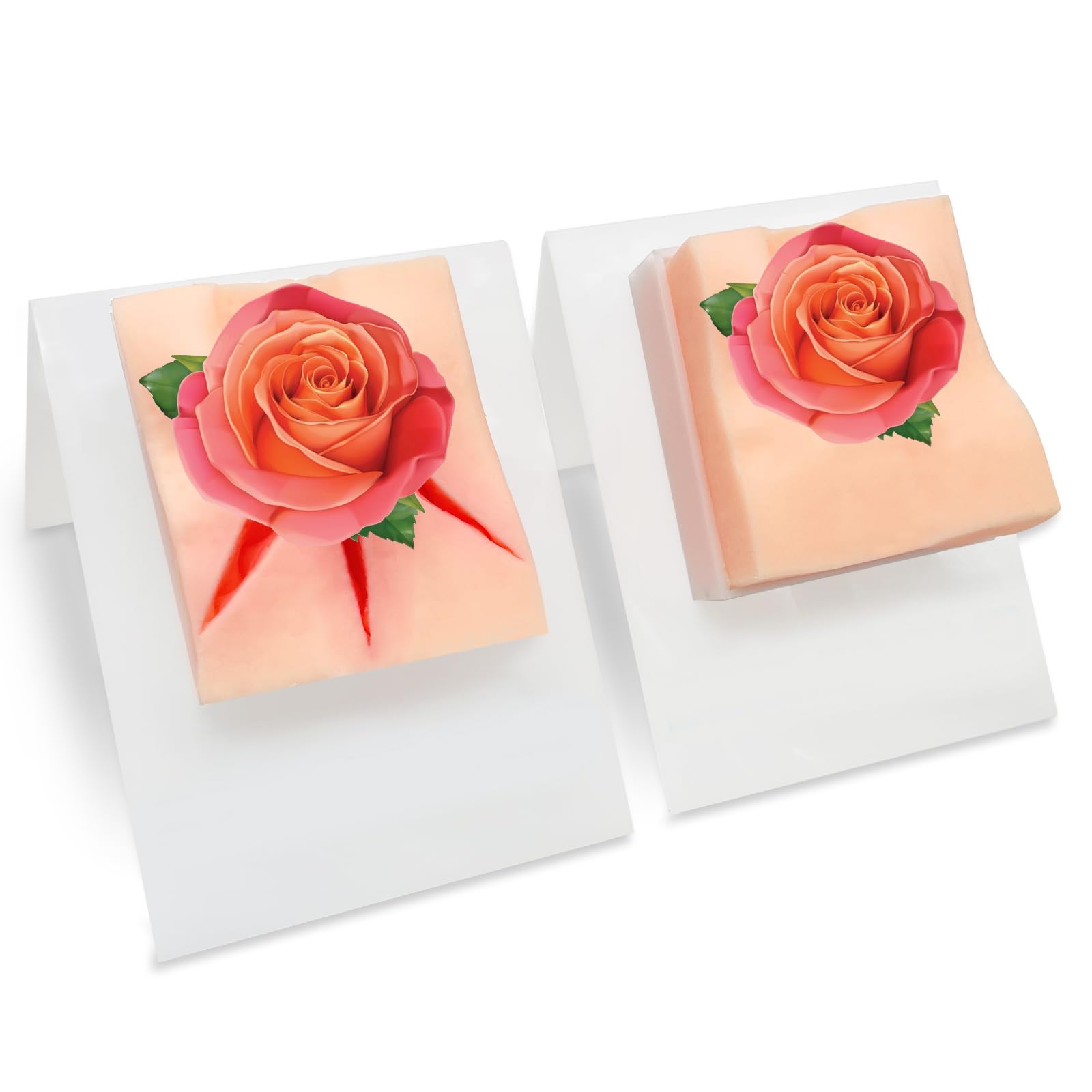 Snapklik.com : Perineal Suturing Model Perineal Repair Practice Model ...