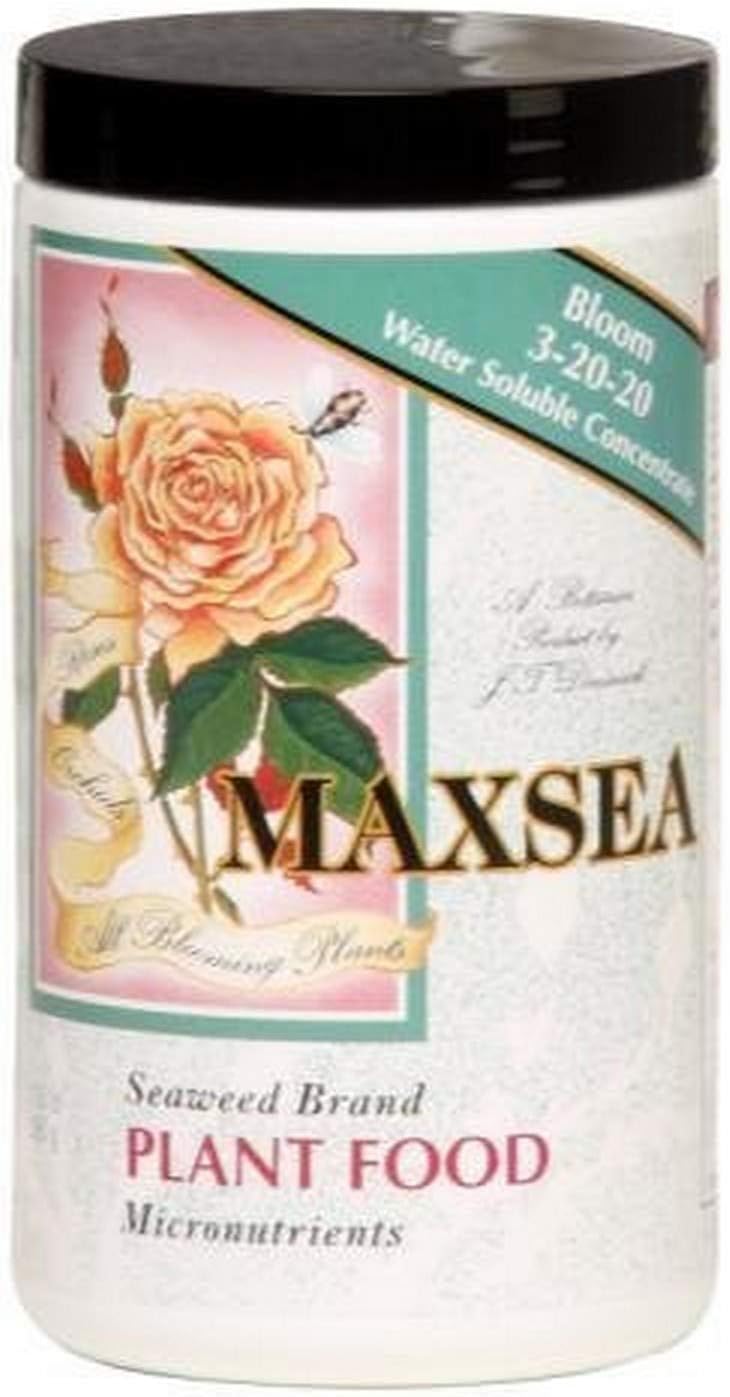 Amazon.com : Maxsea All Purpose Plant Food 50 lb (16-16-16) : Patio ...