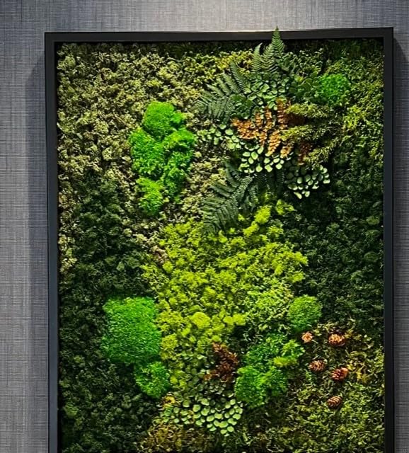 Amazon.com: Unique Moss Wall Art - Preserved Live Moss Art Framed ...
