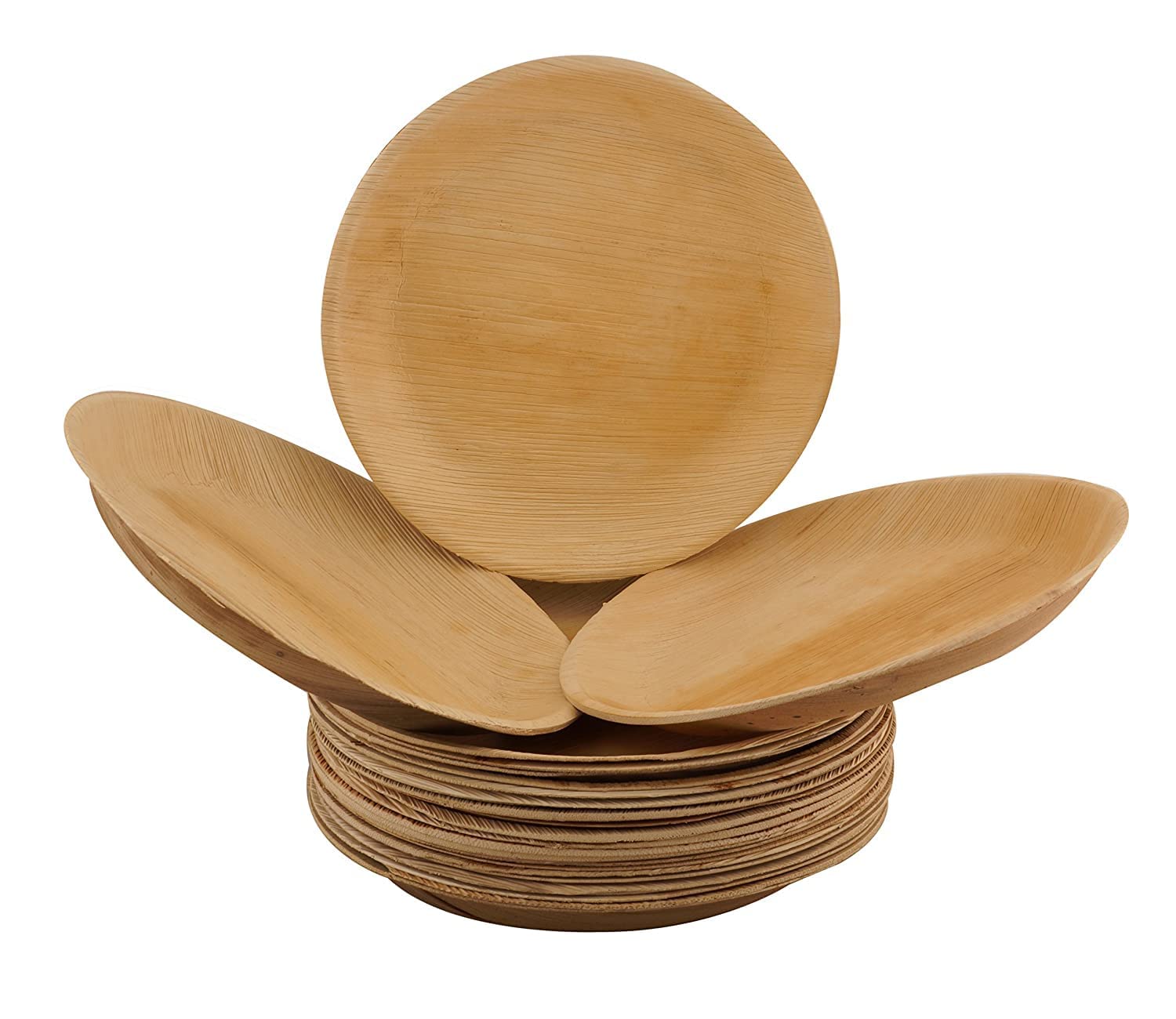 Disposable Dishes Plates Natural Biodegradable Plates, dinnerware,Party ...
