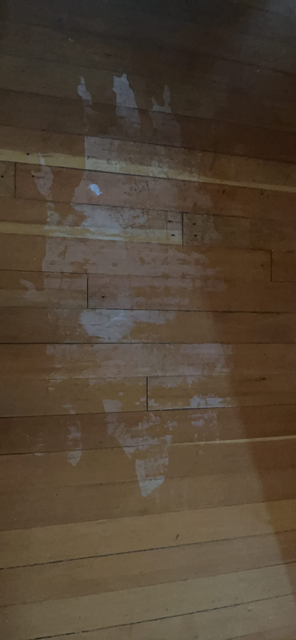 $2/mo - Finance 3D Halloween Floor Decals Scary Pumpkins Skull Wall ...