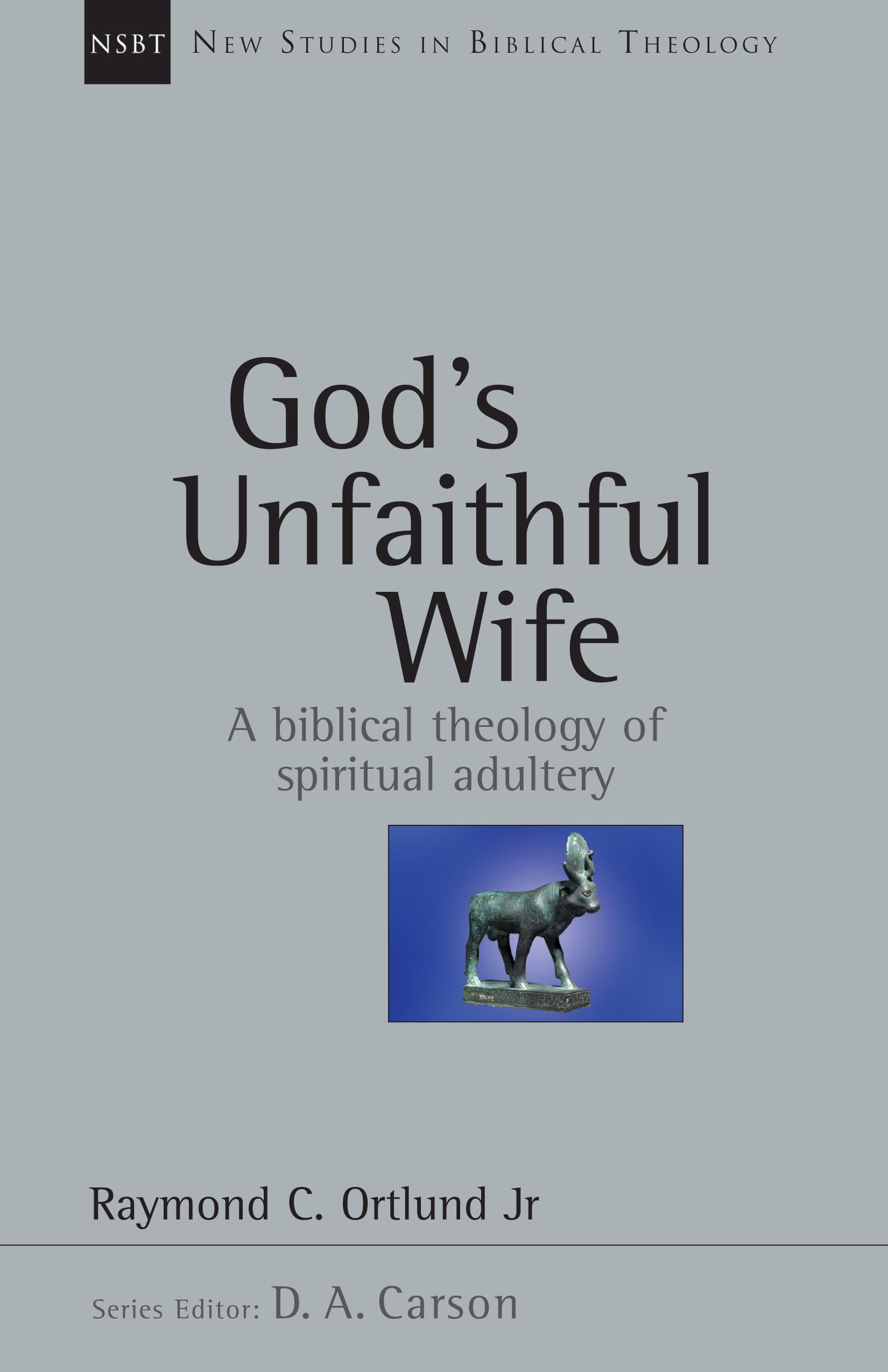 Unfaithful Man Bible