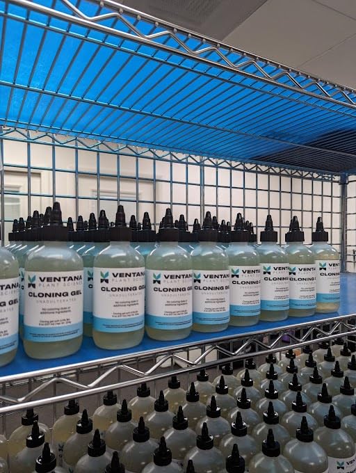 Amazon.com : Ventana Plant Science Cloning Gel - Cloning Paste with ...