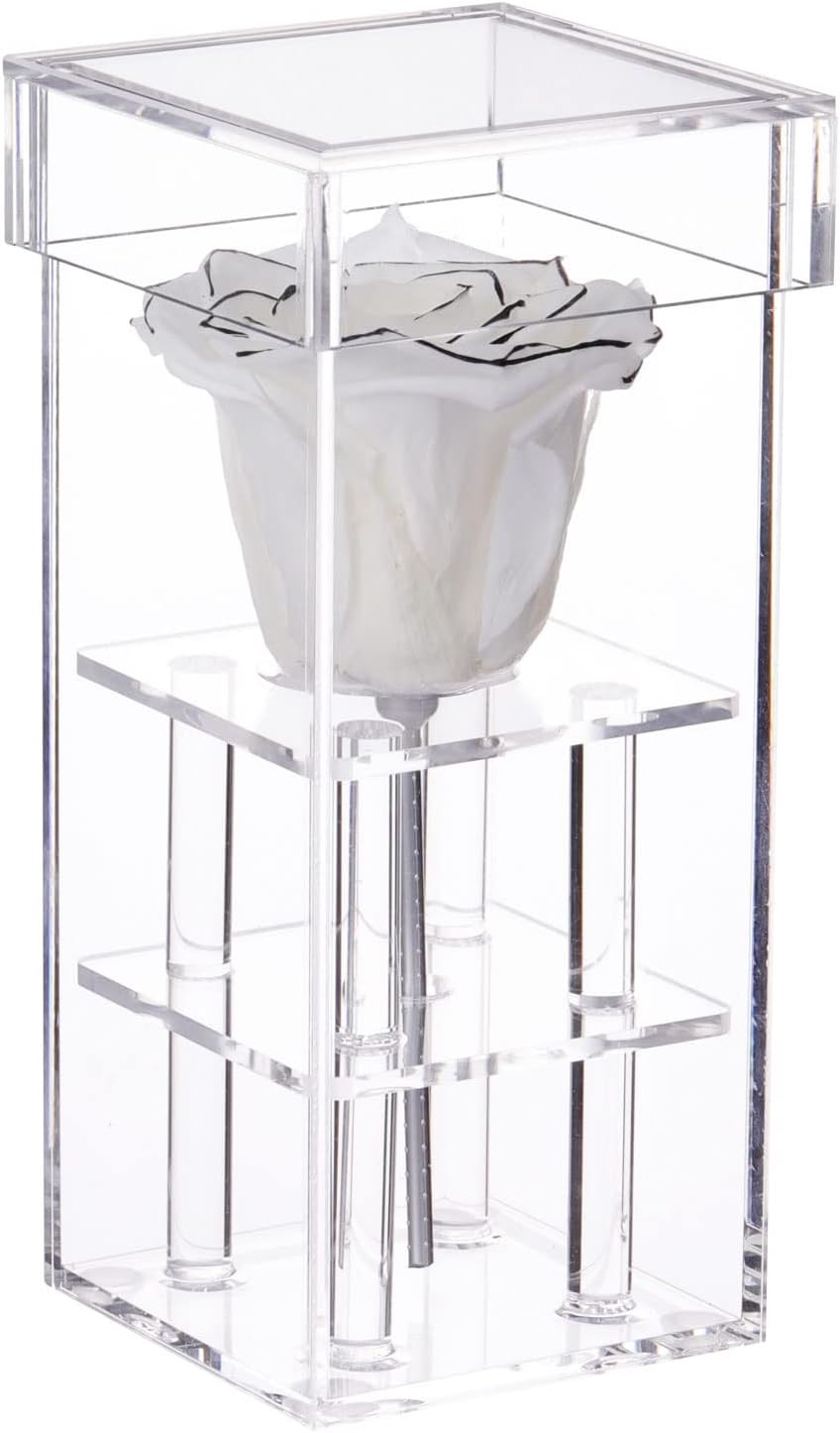 Amazon.com: Polylove Preserved Rose in an Acrylic Box Eternal Rose with ...