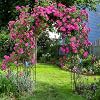 Amazon.com : Garden Trellis, 2 Pack Hummingbird Metal Garden Trellis ...