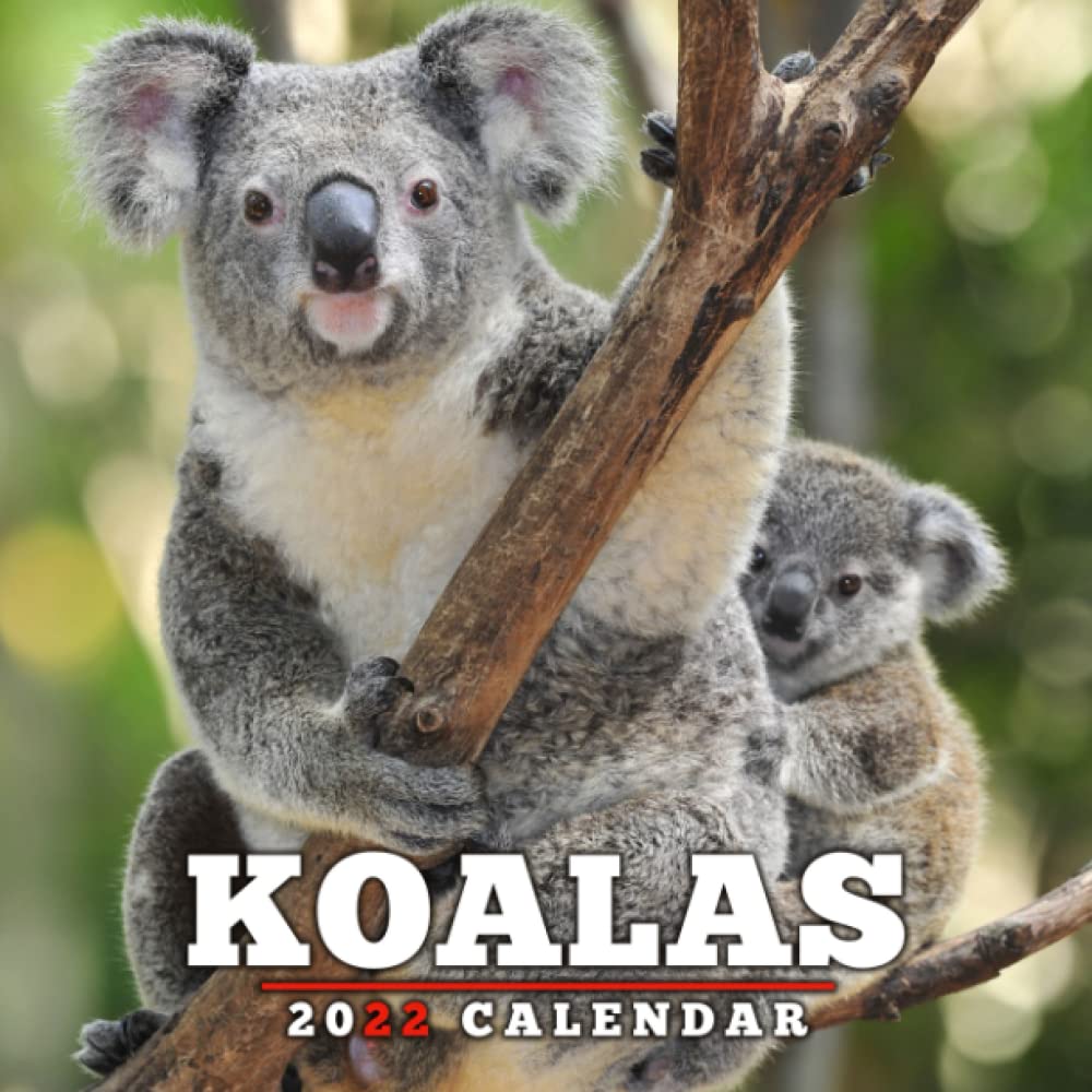 Buy Koalas 2022: 2022 - Mini Planner Beautiful- Photos of Koala Bear Perfect for Adults Teens ...