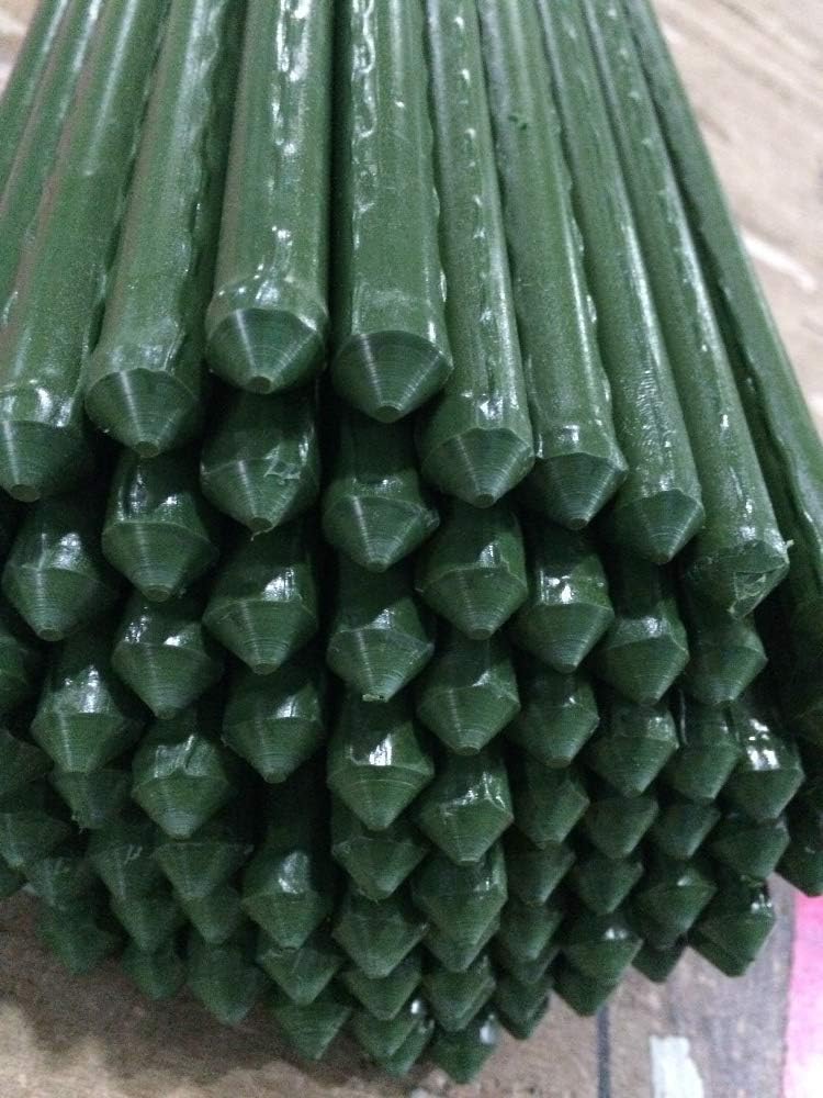 Easynets 12mm Plastic Coated Garden Canes (90cm x 12mm (Pack of 10 ...