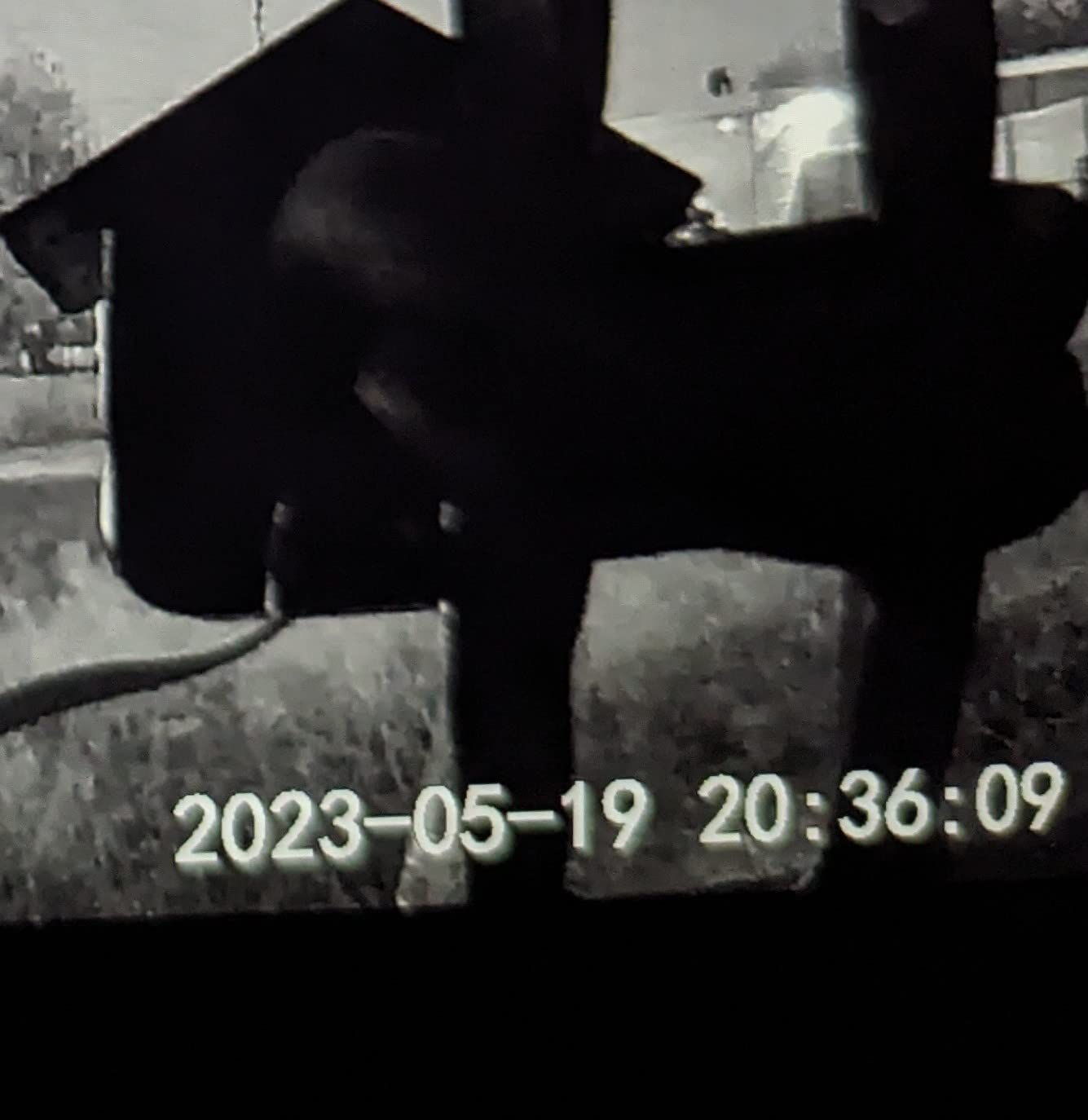 Amazon.com : Holicfun Flexible Twist Mount with Weatherproof Cover for ...