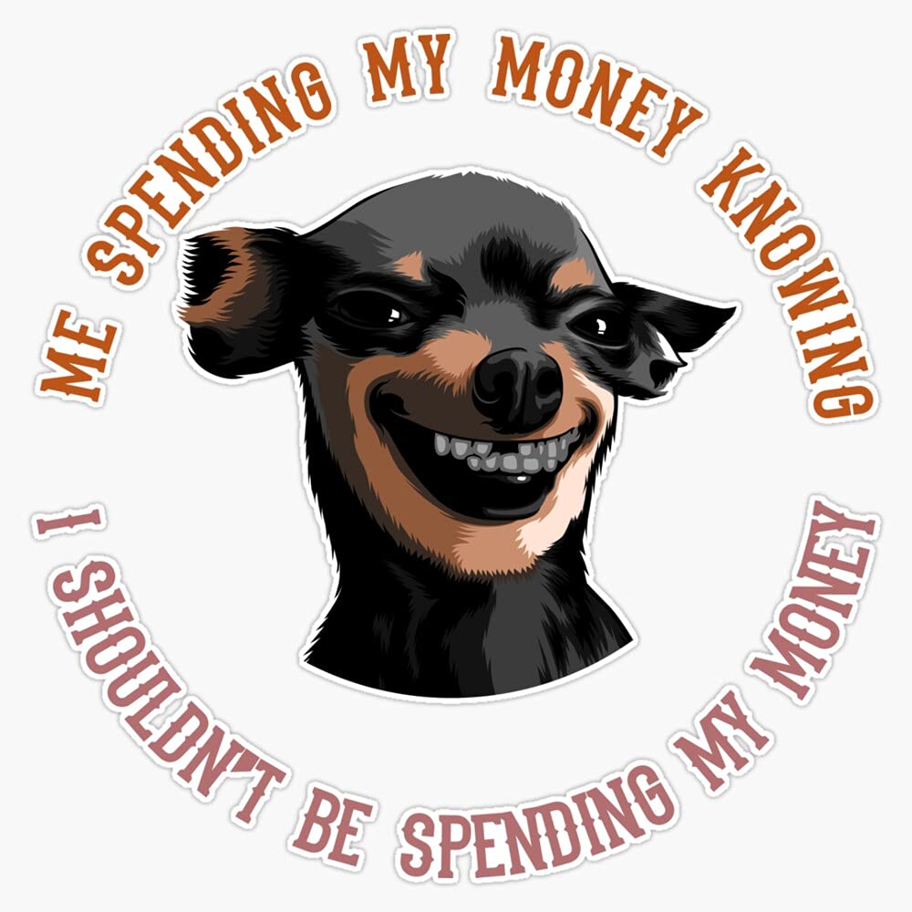 Money Dog Memes