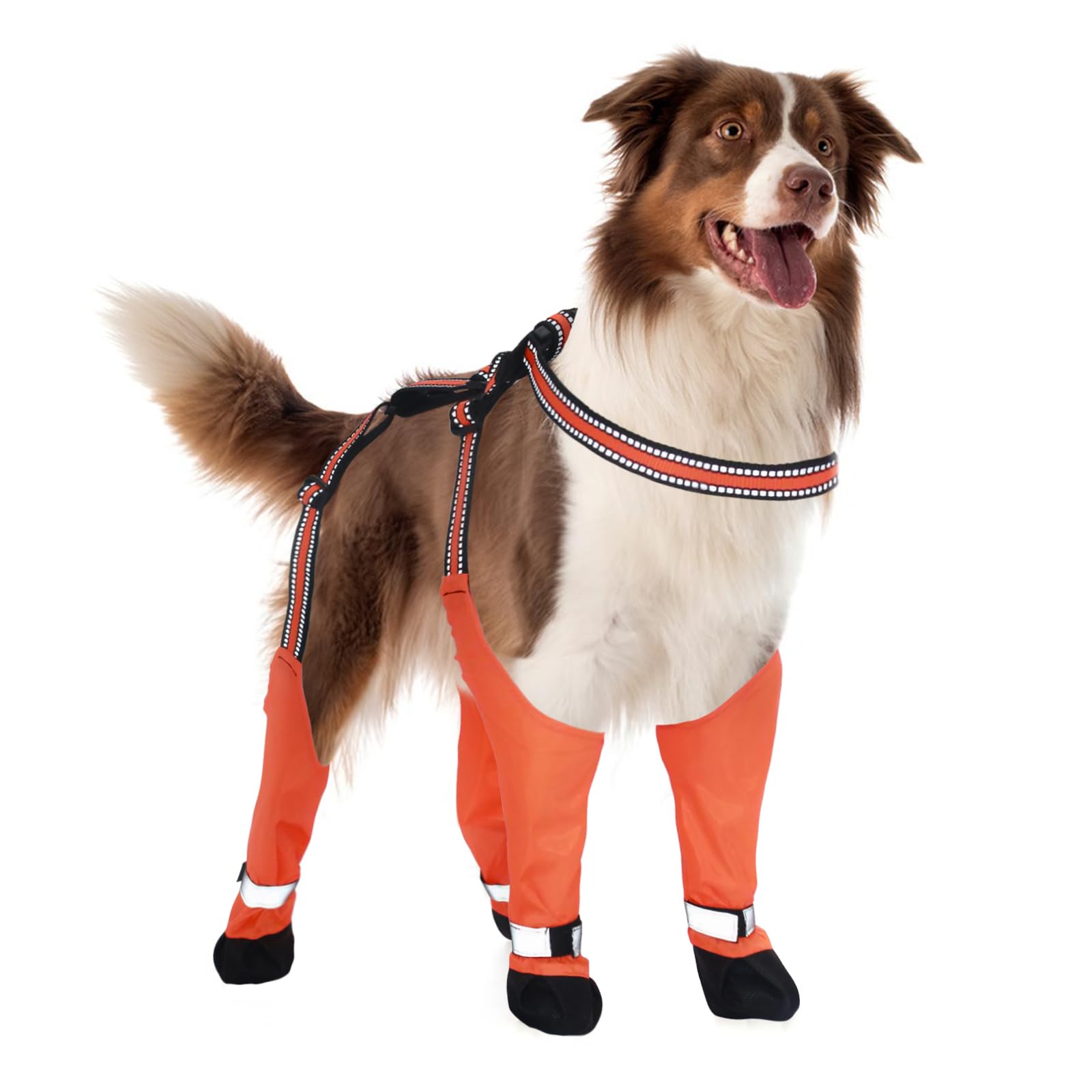 Dog Boots with Suspenders Adjustable Dog Suspender Boots Dog Socks to ...