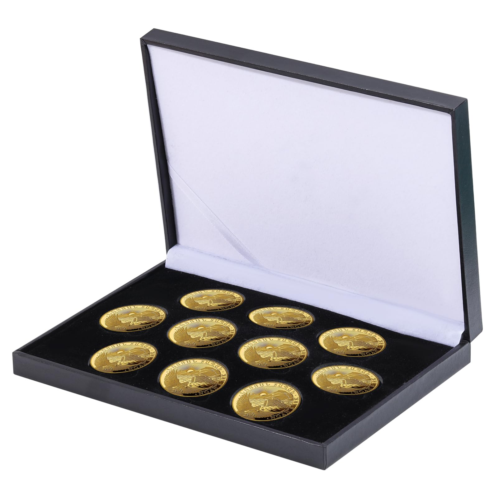 Amazon.com : beinkmake Coin Display Case PU Black Velvet Display Coin ...