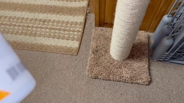 Watch SmartyKat Catnip Mist Spray Review! on Amazon Live