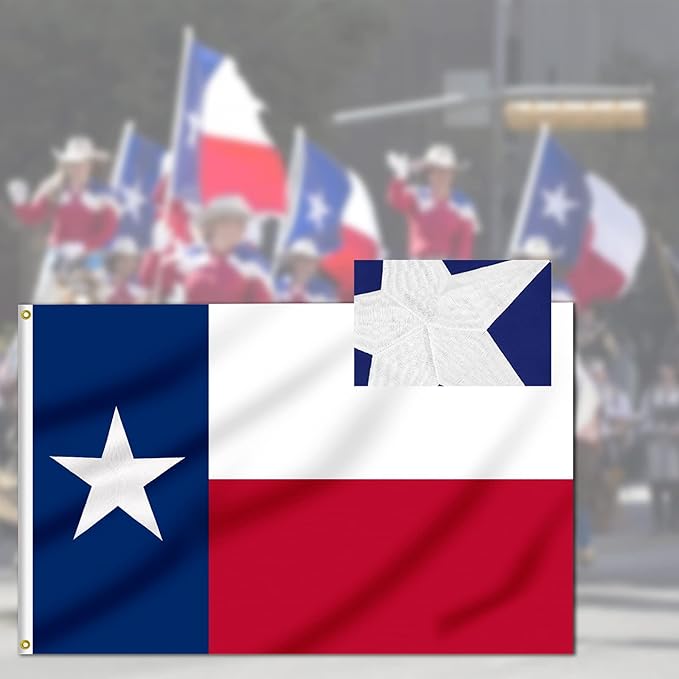 Amazon.com : FLAGBURG Texas Flag 4x6 FT Heavy Duty Nylon Outdoor, TX ...