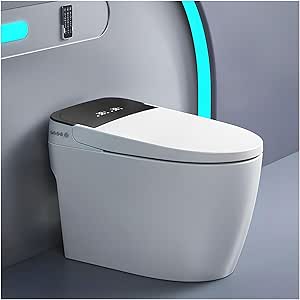 Amazon.com: Wtxwood Inodoro inteligente moderno con bidé integrado ...