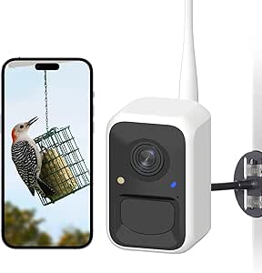 Amazon.com : NETVUE by Birdfy Smart Bird Feeder Camera, Adjustable Brackets, Auto Bird Video ...