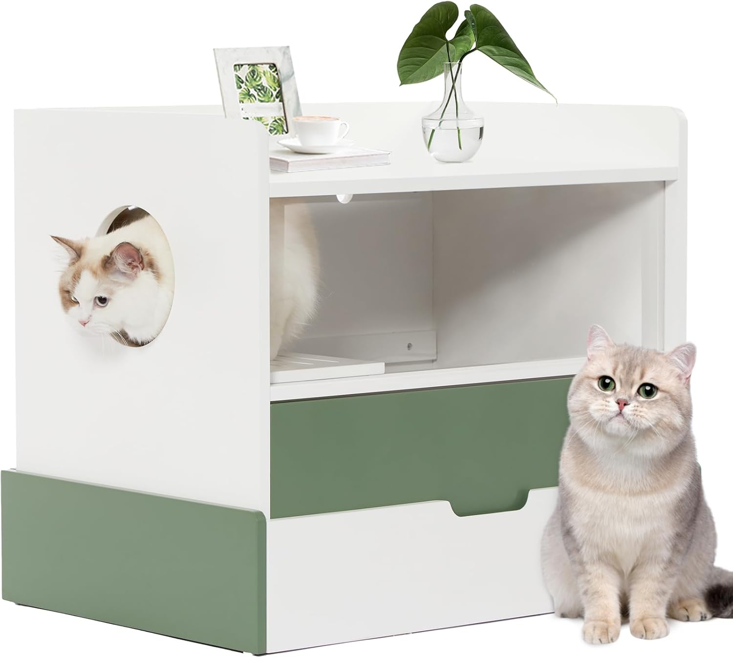 Amazon.com: A4Pet Cat Litter Box Enclosure Furniture, Modern Design Litter Box Furniture Hidden ...