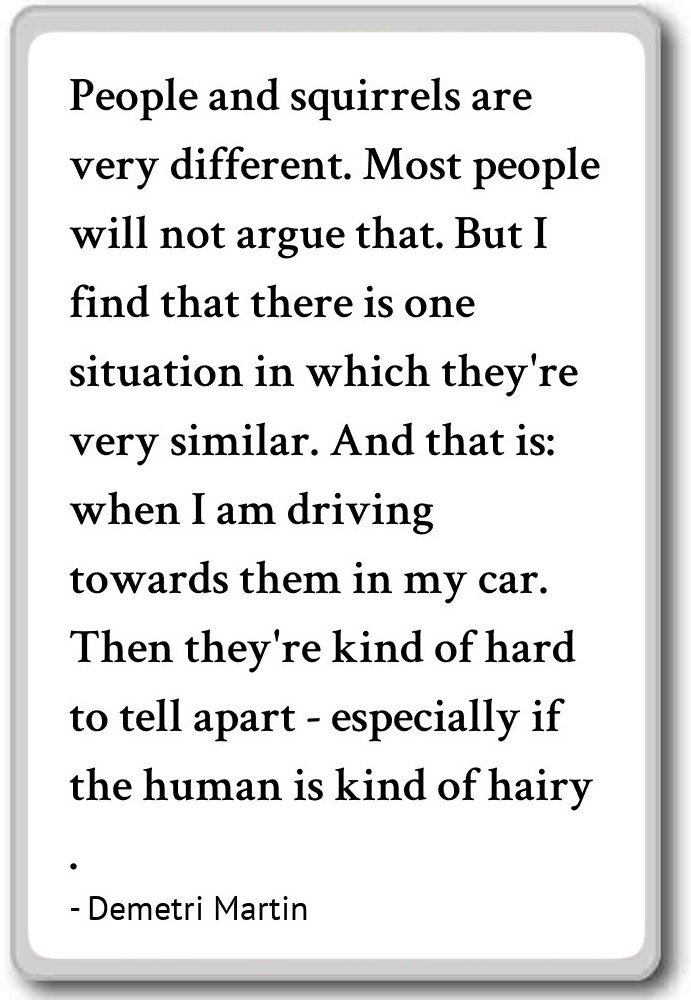 Demetri Martin Quotes