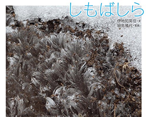 Amazon.com: Shimobashira.: 9784265043699: 伊地知英信: Books