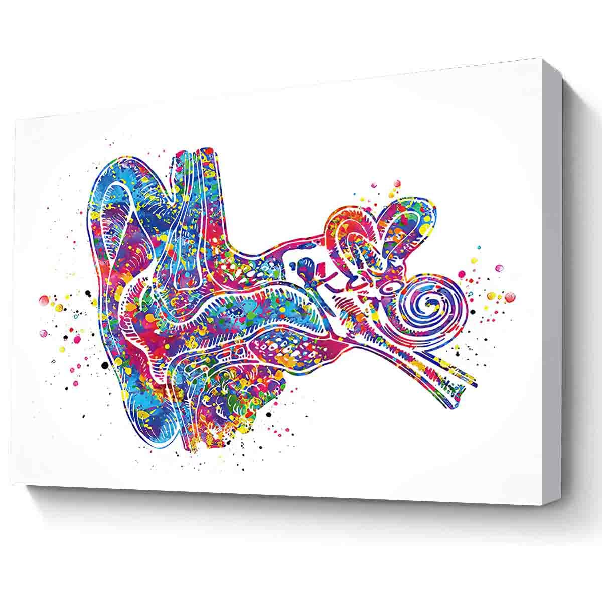 Snapklik.com : MBARE Watercolor Art Wall Decor,Ear Watercolor Print ...