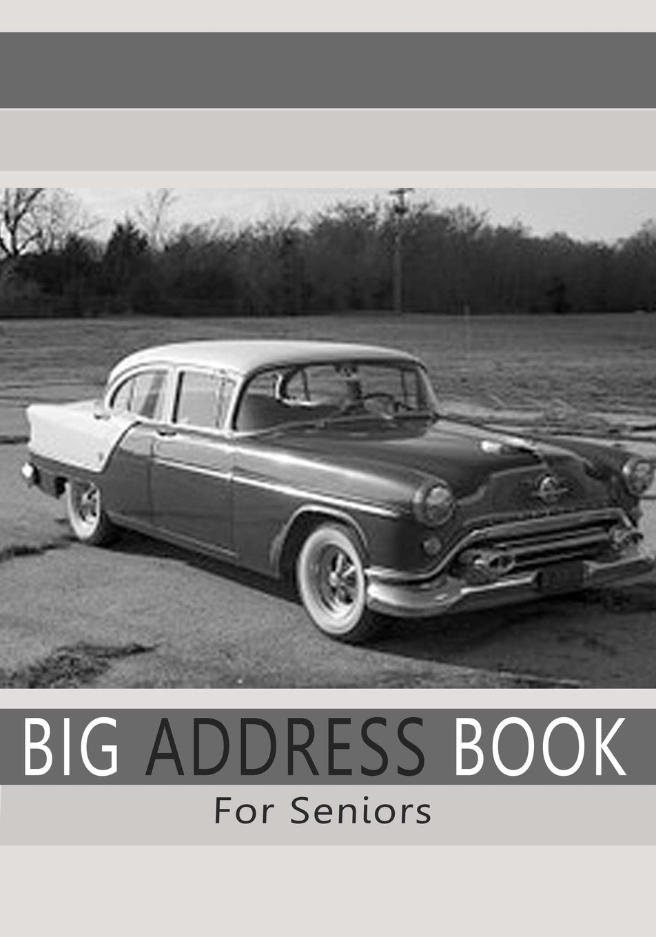 Amazon.com: Big Address Book For Seniors: Large Print Address Book with ...