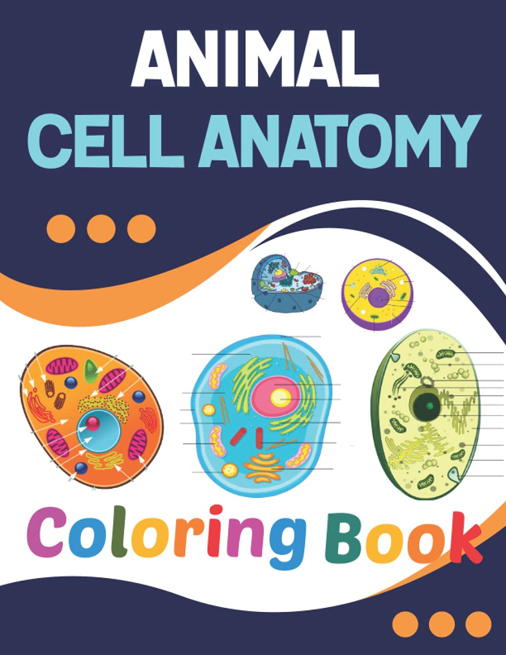Buy Animal Cell Anatomy Coloring Book: Learn Animal Cell Anatomy With ...