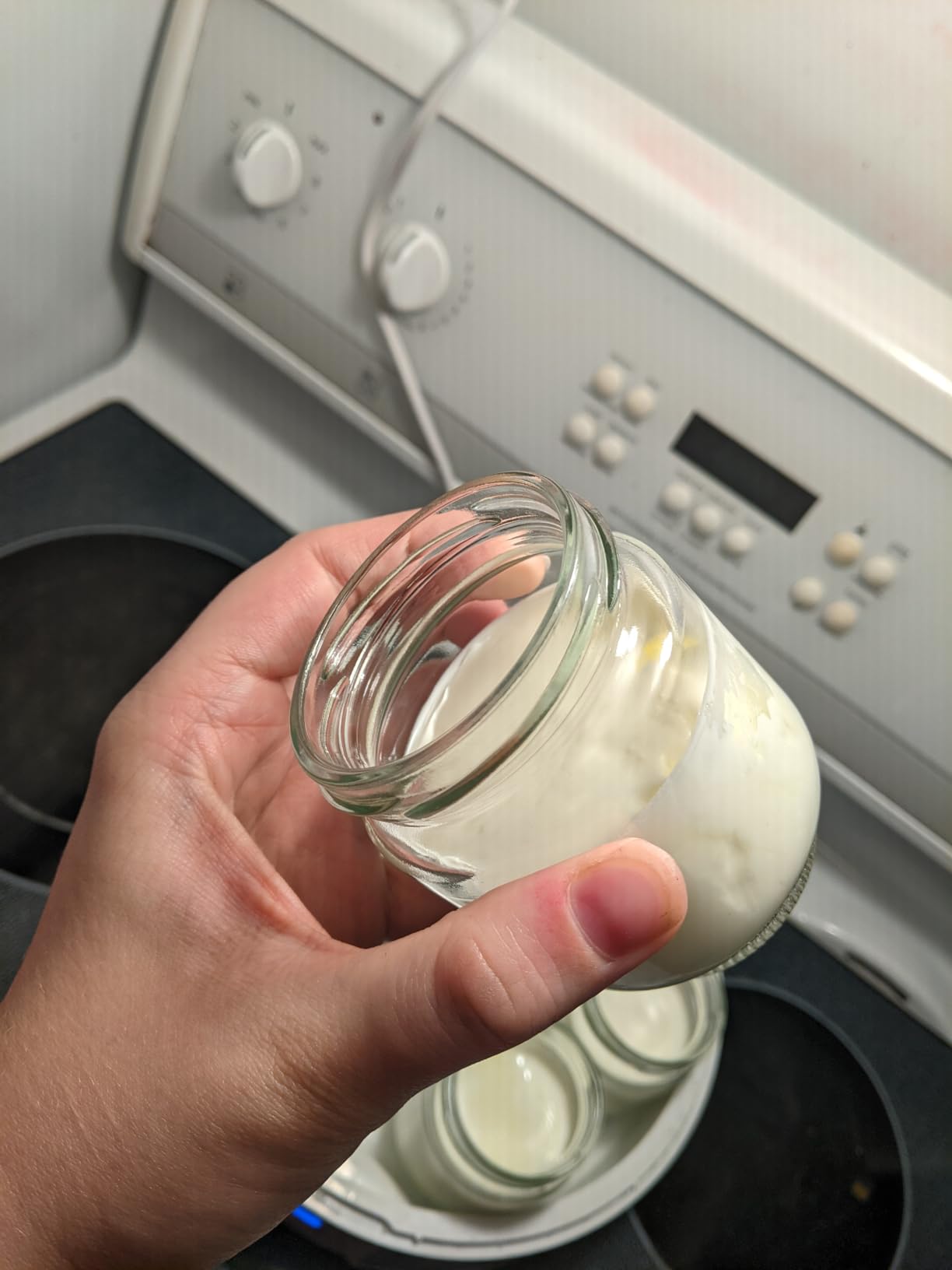 Euro Cuisine Yogurt Maker - 7 × 6 oz - Digital : Amazon.ca: Home