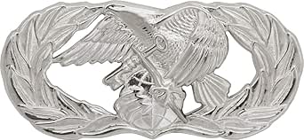 Amazon.com: Air Force No Shine Basic Logistics Readiness Badge ...