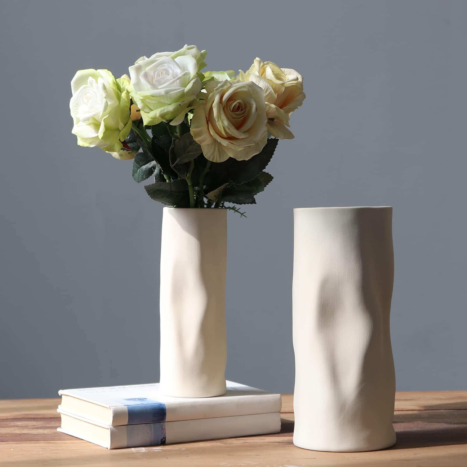Amazon.com: Home Habitat Nordic Vases - 2 Piece Set, Small and Large ...
