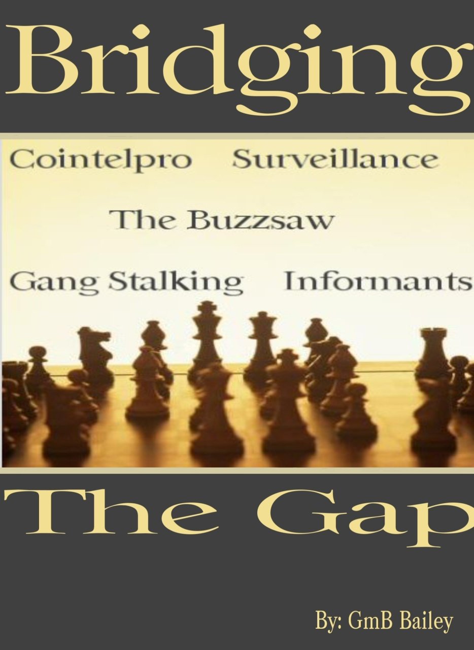 Amazon.com: Bridging The Gap eBook : Bailey, GmB: Books