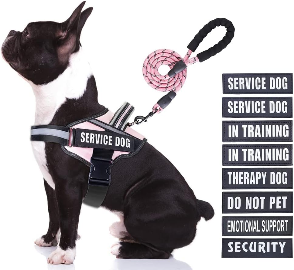Amazon.com : Service Dog Vest Harness and Leash Set, Animire in ...