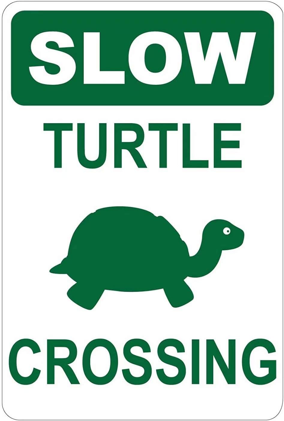 Amazon.com: CROSSWALKS Turtle Crossing 12" X 12" Aluminum Sign (X07 ...