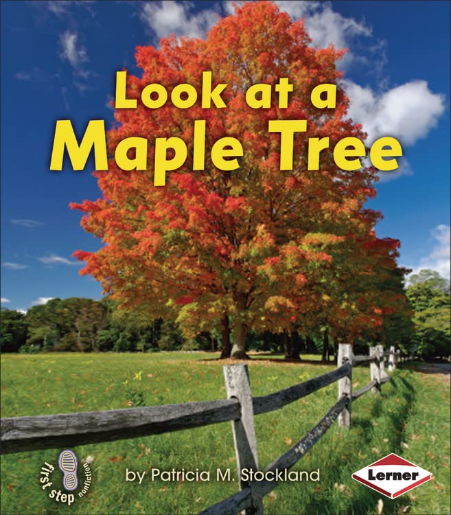 Look at a Maple Tree (First Step Nonfiction ― Look at Trees) | Amazon ...