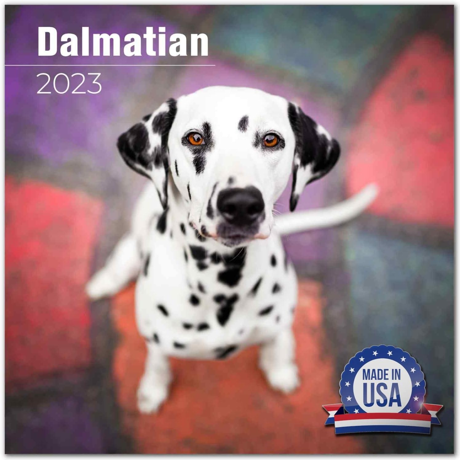 Amazon.com : 2022 2023 Dalmatian Calendar - Dog Breed Monthly Wall ...