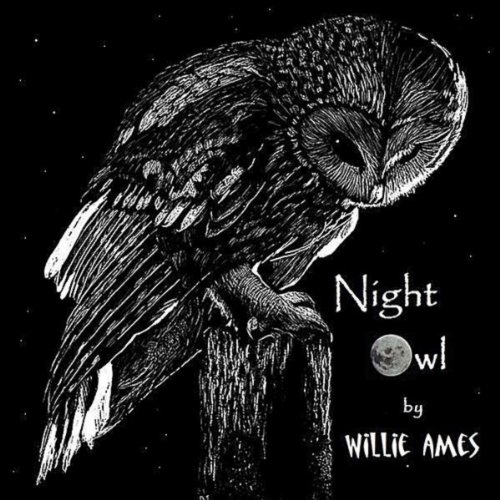 Play Night Owl (feat. Drew Sadler, Way Deep & Philip Rohr) by Willie ...