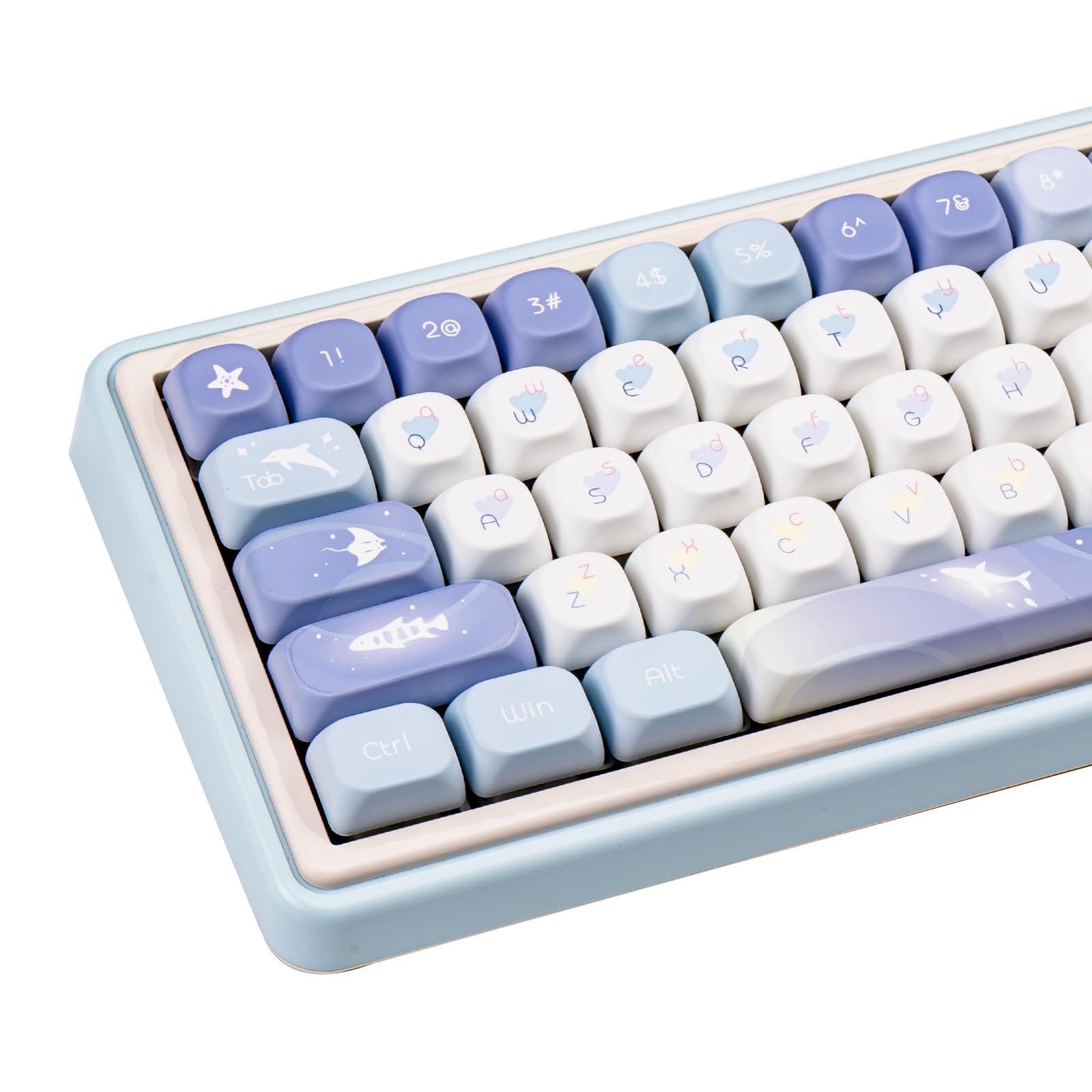 Amazon.com: COOMICKEY Blue White PBT Keycaps XOA Keycaps, Custom ...