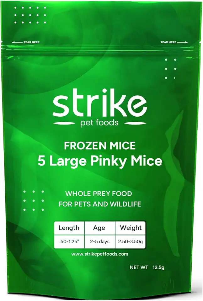 The Ultimate Guide To Caring For Pinky Mice | PetShun