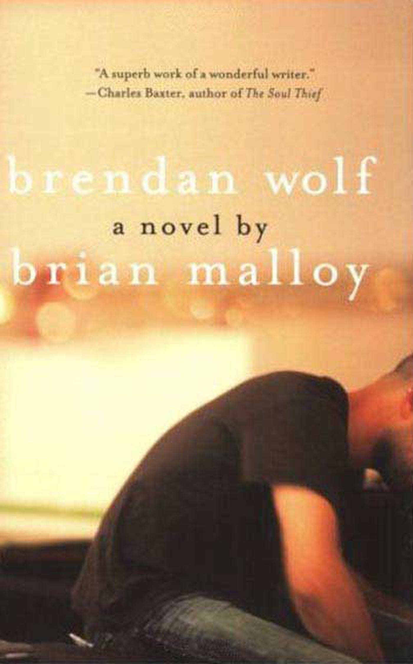 Amazon.com: Brendan Wolf: 9780312377618: Malloy, Brian: Books