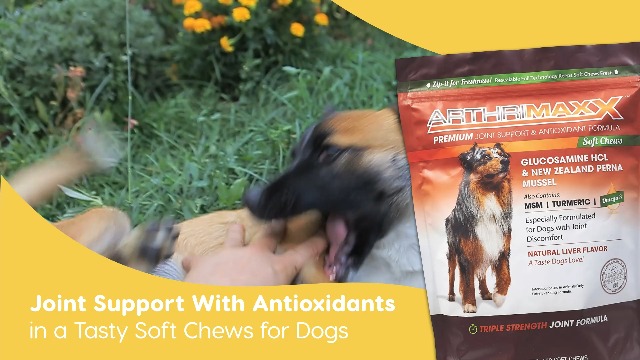 Watch ANP Animal Nutritional Products on Amazon Live