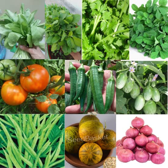 Seed Basket Winter Native Vegetable Seeds Kit (10 Pack) for Home Garden ...