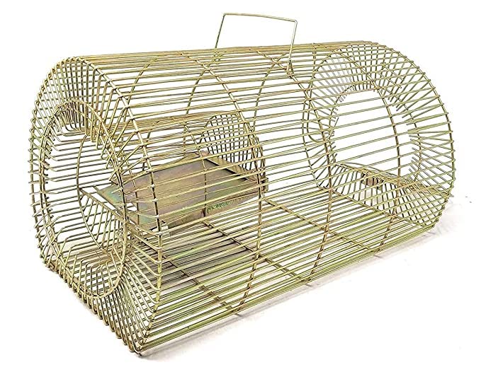 MorningVale ® Rat/Mouse/Rodent Small Trap Cage Rustic Copper (Big Trap ...