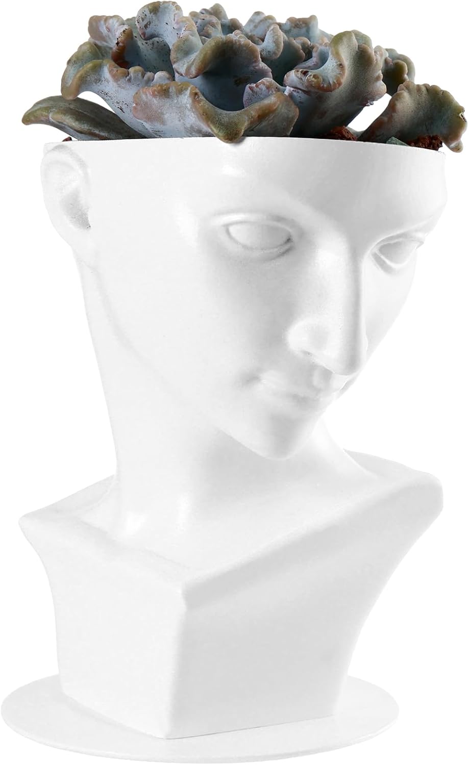 Amazon.com : 1 Pack Small Head Planter for Indoor Plants, Greek Flower ...