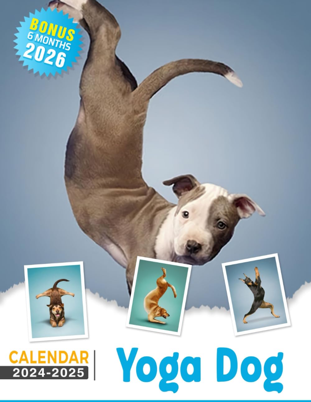 Yoga Dog Calendar Yoga Puppies & Kittens Together OFFICIAL 2022 Mini