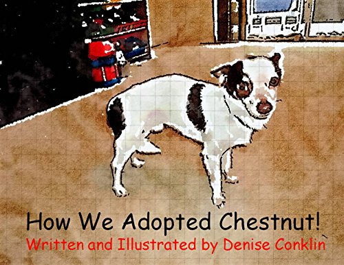 How We Adopted Chestnut - Kindle edition by Conklin, Denise. Children ...