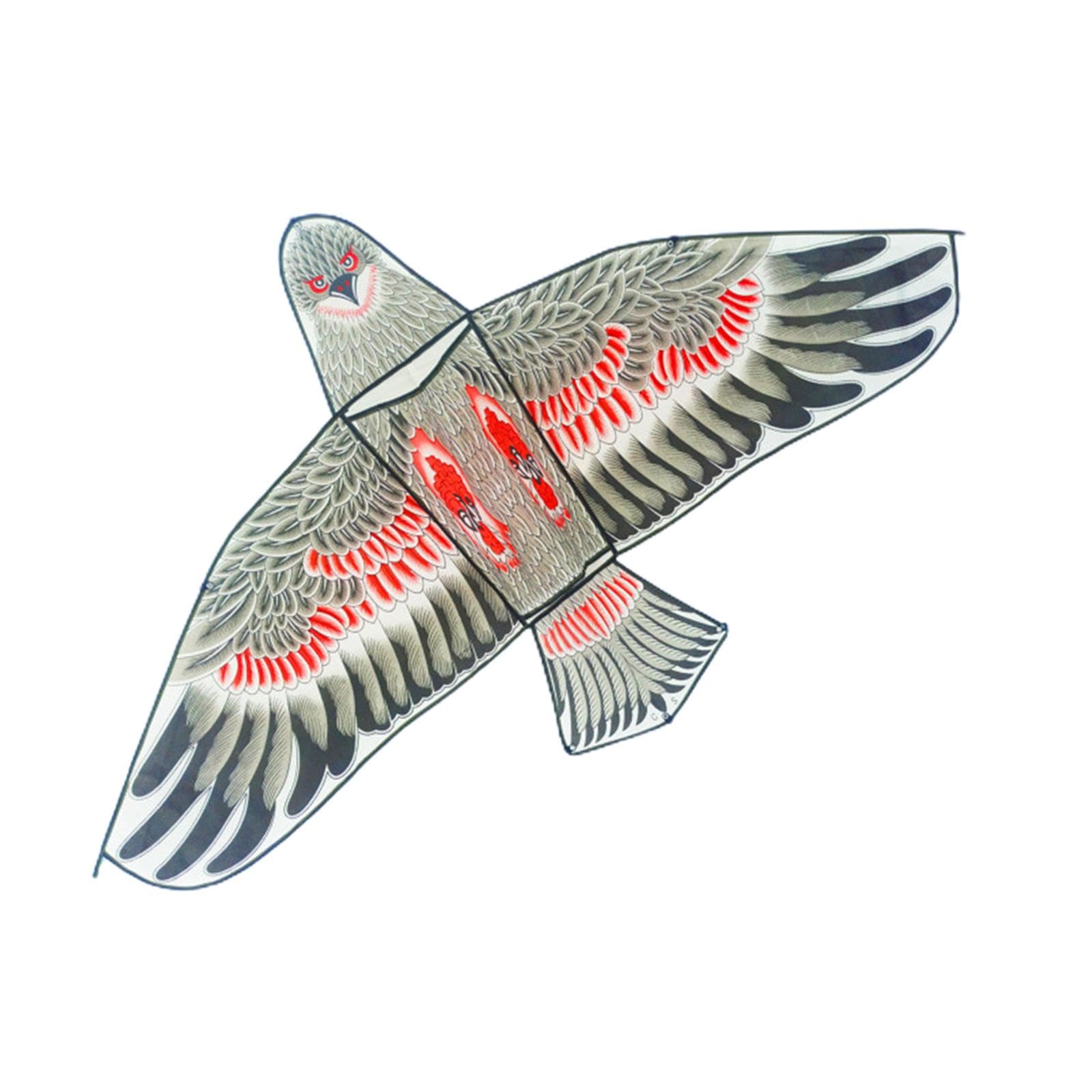 Dibujo De Pájaro Cometa Cometa Cola De Golondrina Dibujo Pico