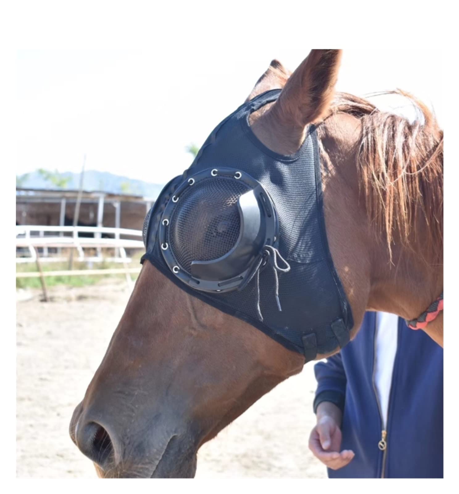 Horse Eye Cover