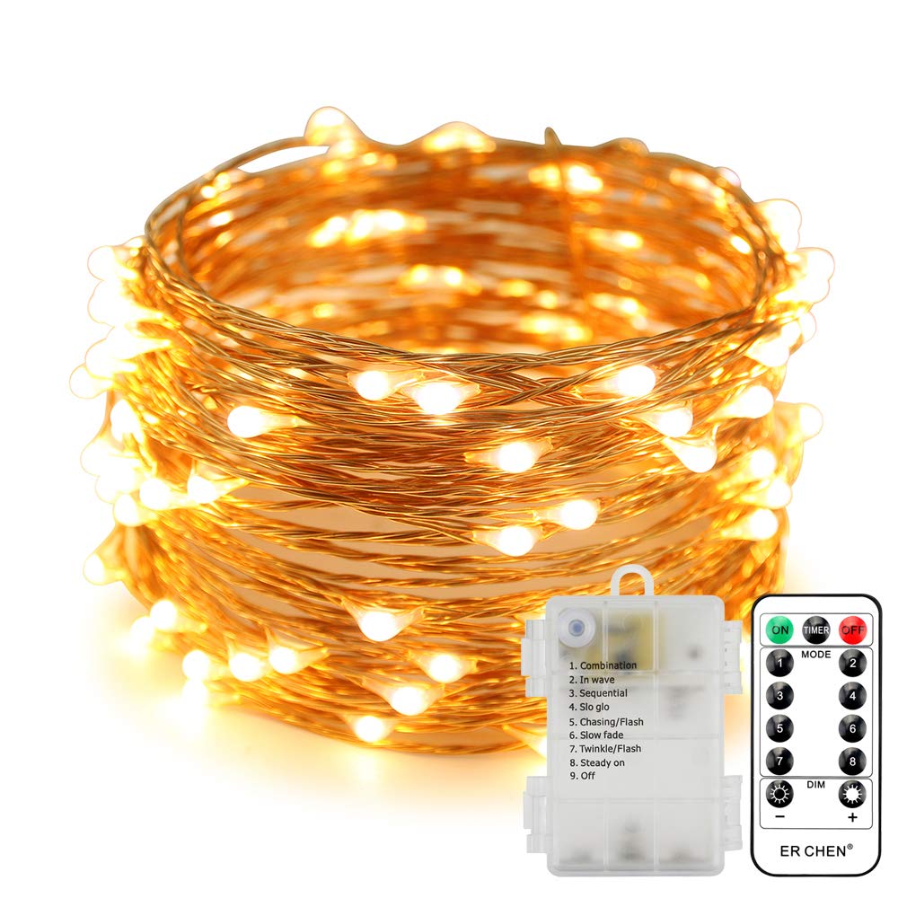 Amazon.com : ER CHEN 8 Lighting Model Indoor and Outdoor Waterproof ...