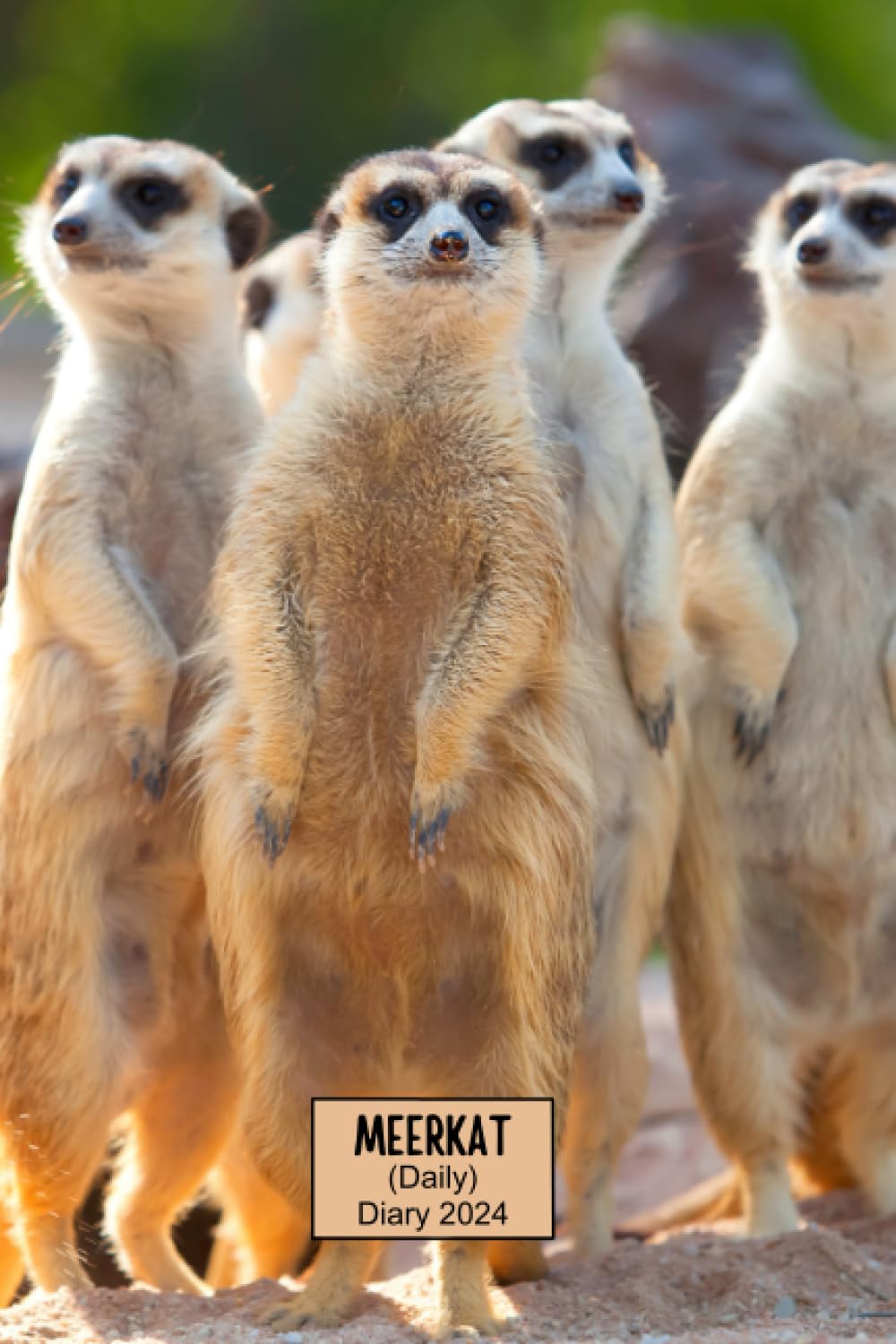 Meerkat Daily Diary 2024: A complete one year diary. Ideally sized ...